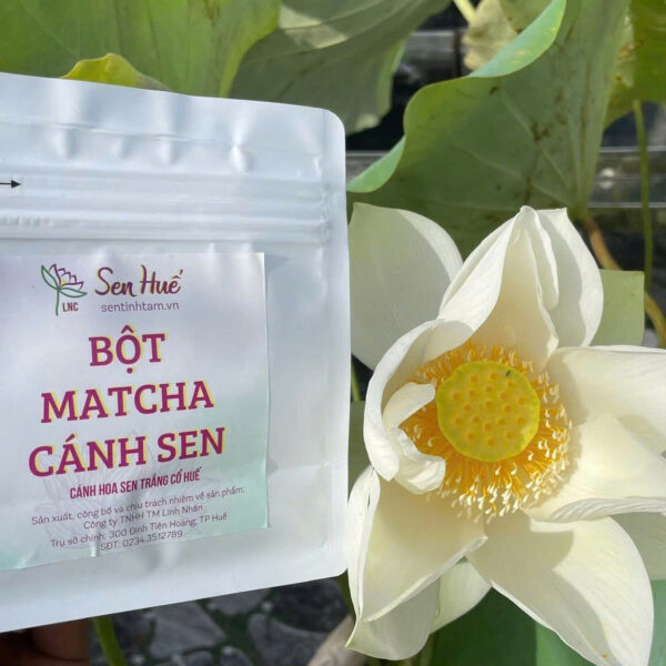 BỘT MATCHA CÁNH SEN | Hạt sen Tịnh Tâm | Đặc sản Huế